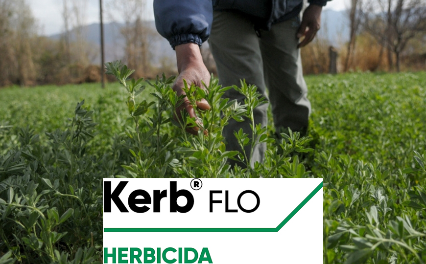 Agroquímicos y Fitosanitarios para la agricultura - Agrozar