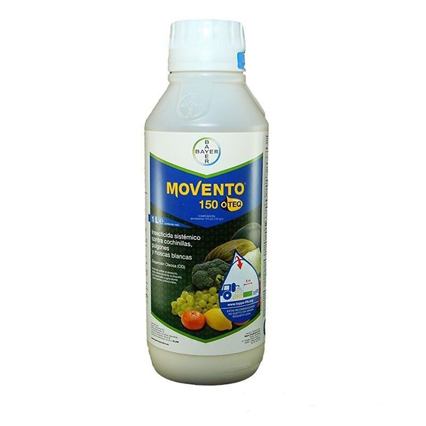 MOVENTO GOLD SC -3 LTS-