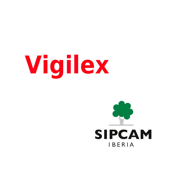 VIGILEX-10 KGS-